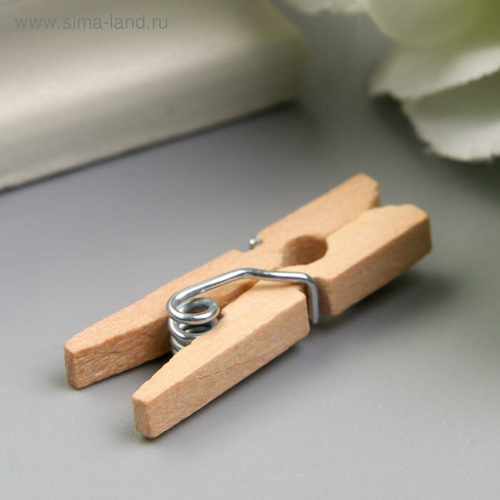 Прищепки для декора, набор 40 шт, 2,5×0,8 см, 2 шт.