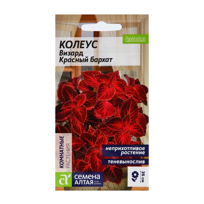 Семена Колеус Визард Красный бархат 8шт Комн 30см (Семена Алтая)