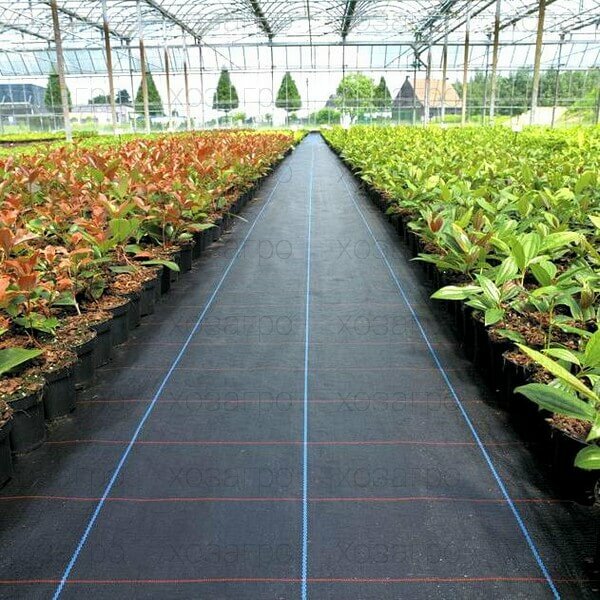 Агроткань 100гр/м2, черная, фасовка 3,15 х 10м, колышки в комплекте (Россия)