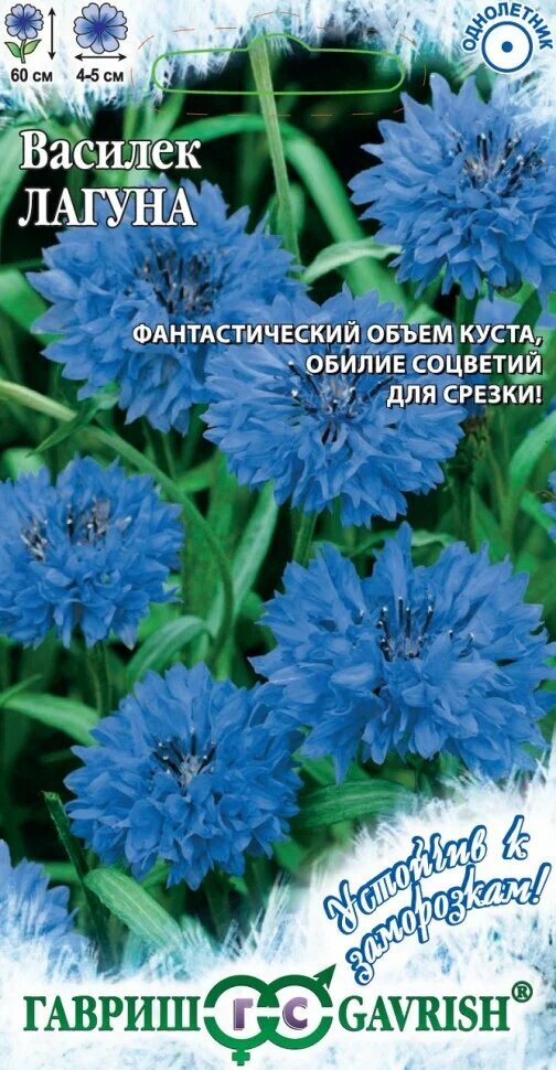 Гавриш Василек Лагуна синий 0,2г устойчив к заморозкам