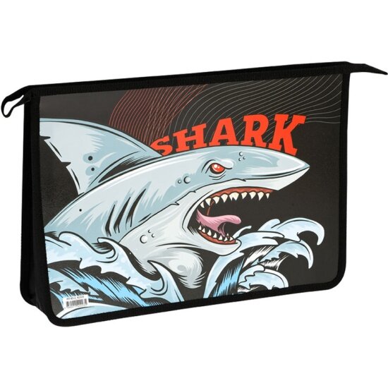 Папка для тетрадей Artspace ПТ-83-2_42223 Strong А4 2 отделения