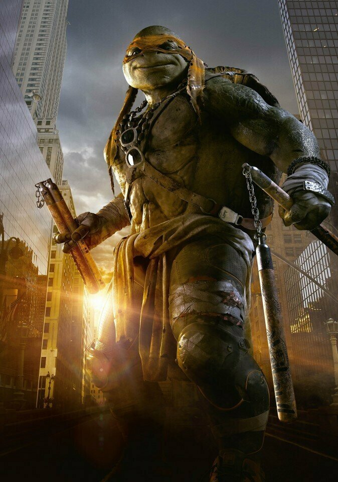 Плакат, постер TMNT - Michelangelo/Черепашки ниндзя - Микеланджело на холсте, размер 42х60см