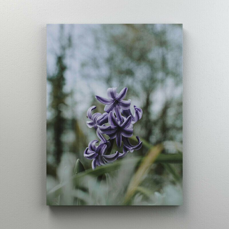 Интерьерная картина на холсте "Одинокий фиолетовый цветок - гиацинт" размер 45x60 см