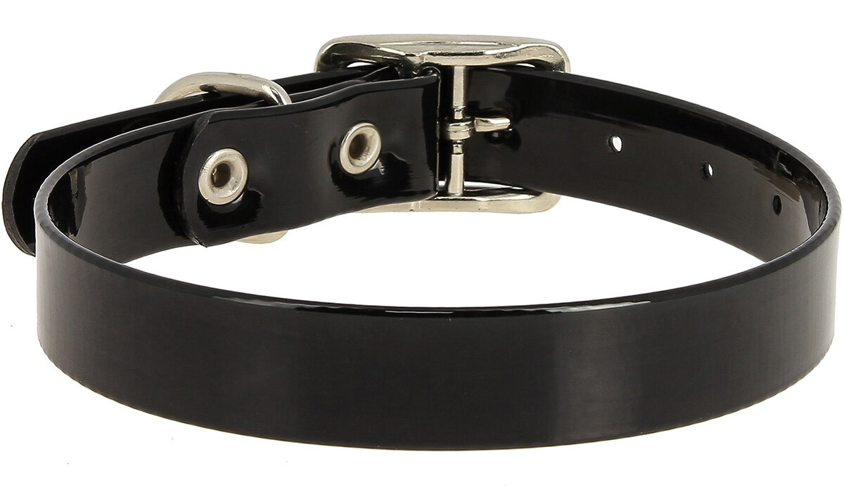 Ошейник для собак Каскад Biotan биотан черный 25 мм 44 – 56,5 см (1 шт)