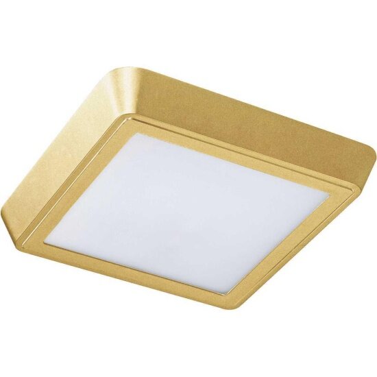 Потолочный светодиодный светильник Lightstar Urbano 216834