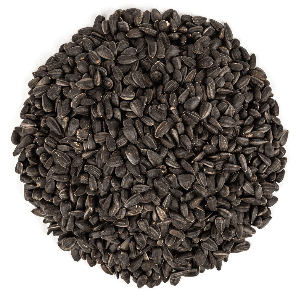 Семечки 8 кг Лакомка свежий урожай Алтая сырые неочищенные