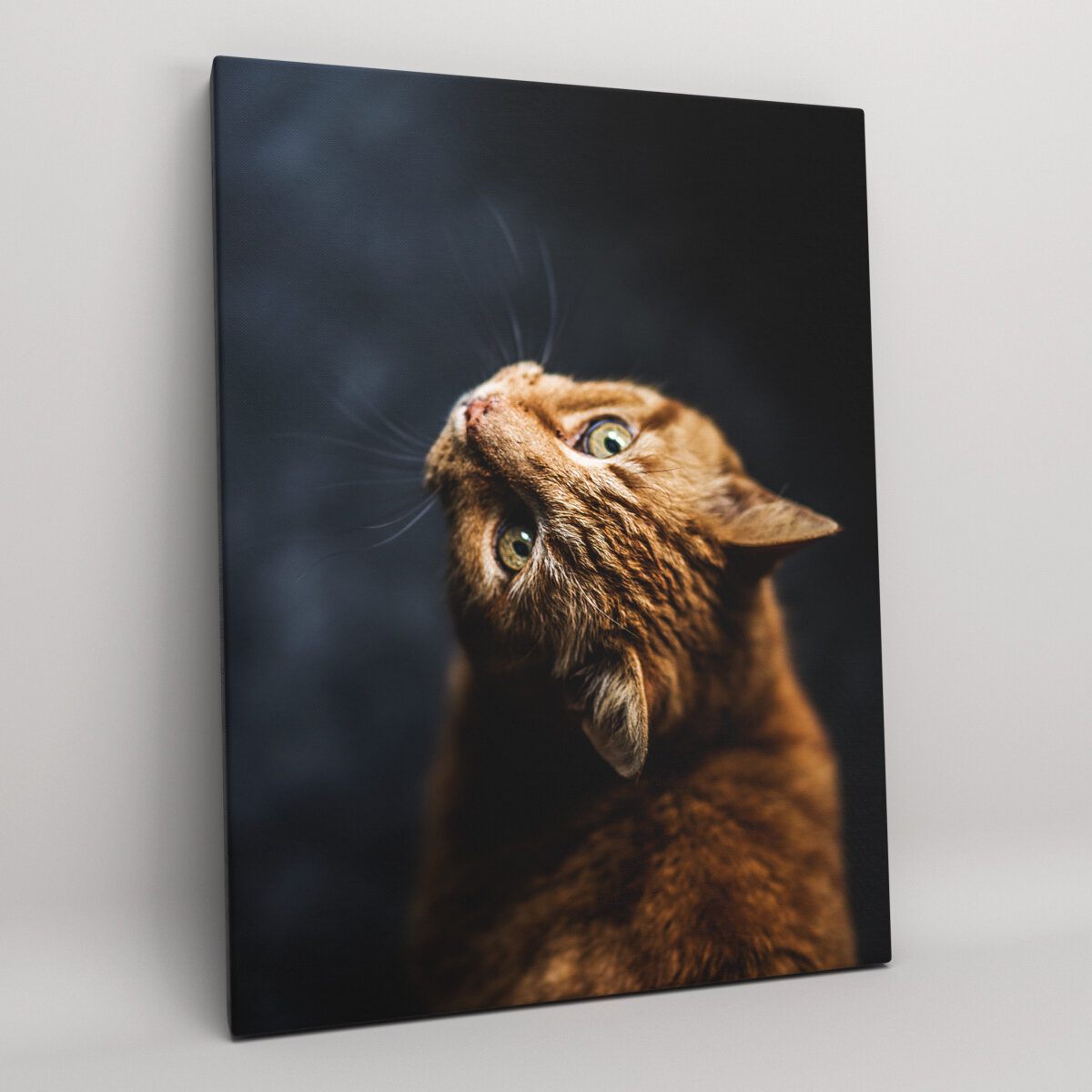 Картина на холсте (интерьерный постер) "Рыжий пушистый кот" животные, с деревянным подрамником, размер 30x40 см