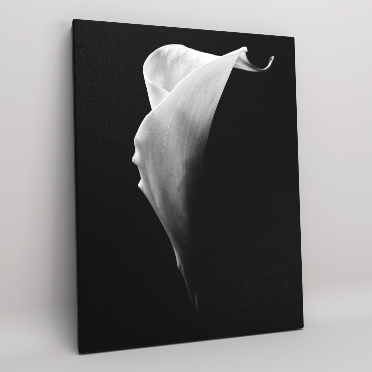 Картина на холсте (интерьерный постер) "Черно - белый цветок" минимализм, с деревянным подрамником, размер 45x60 см