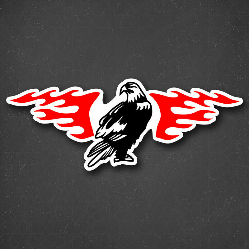 Наклейка на авто "Орел и молнии" 24x9 см