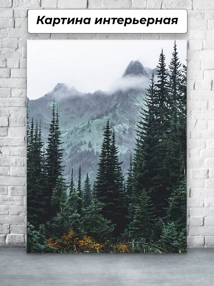 Картины для интерьера 50х70 Лес и горы пейзаж туман