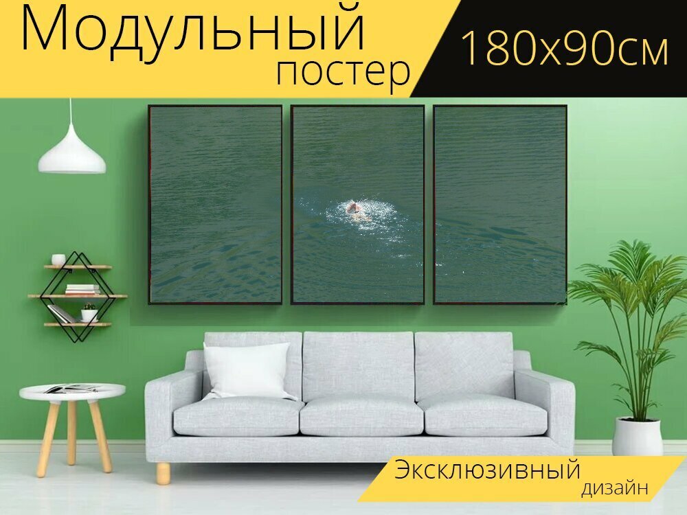 Модульный постер "Пловец, плавать, обход контента" 180 x 90 см. для интерьера
