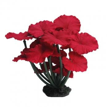 Шелковое растение Prime Нимфея, краповое 20см