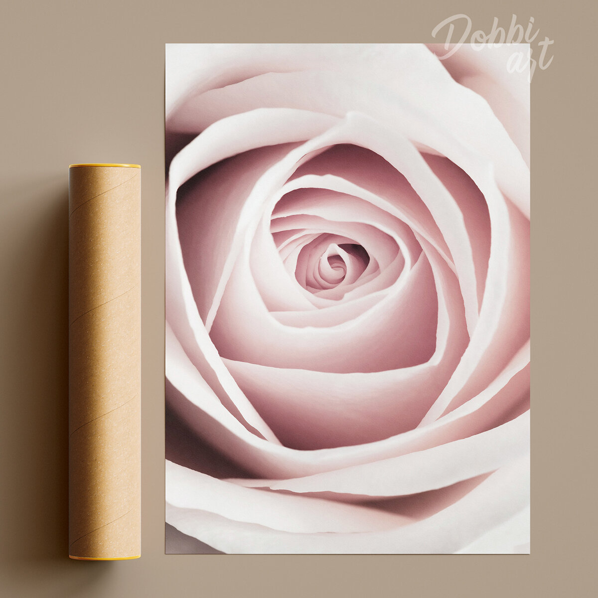 Постер роза 50х70 см природа цветы минимализм/ Постер для интерьера/ Декор на стену/ Постер для дома, офиса/ Картина для интерьера