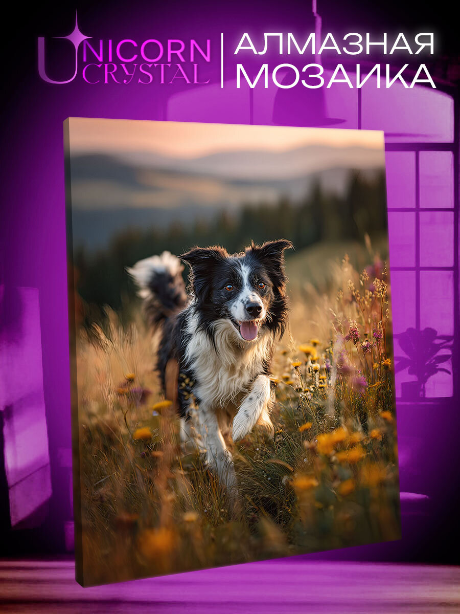 Алмазная мозаика Собака