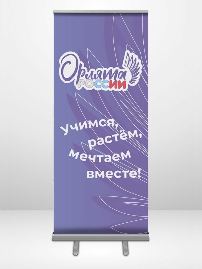 Ролл Ап (Roll Up) "Орлята" 85х200 см