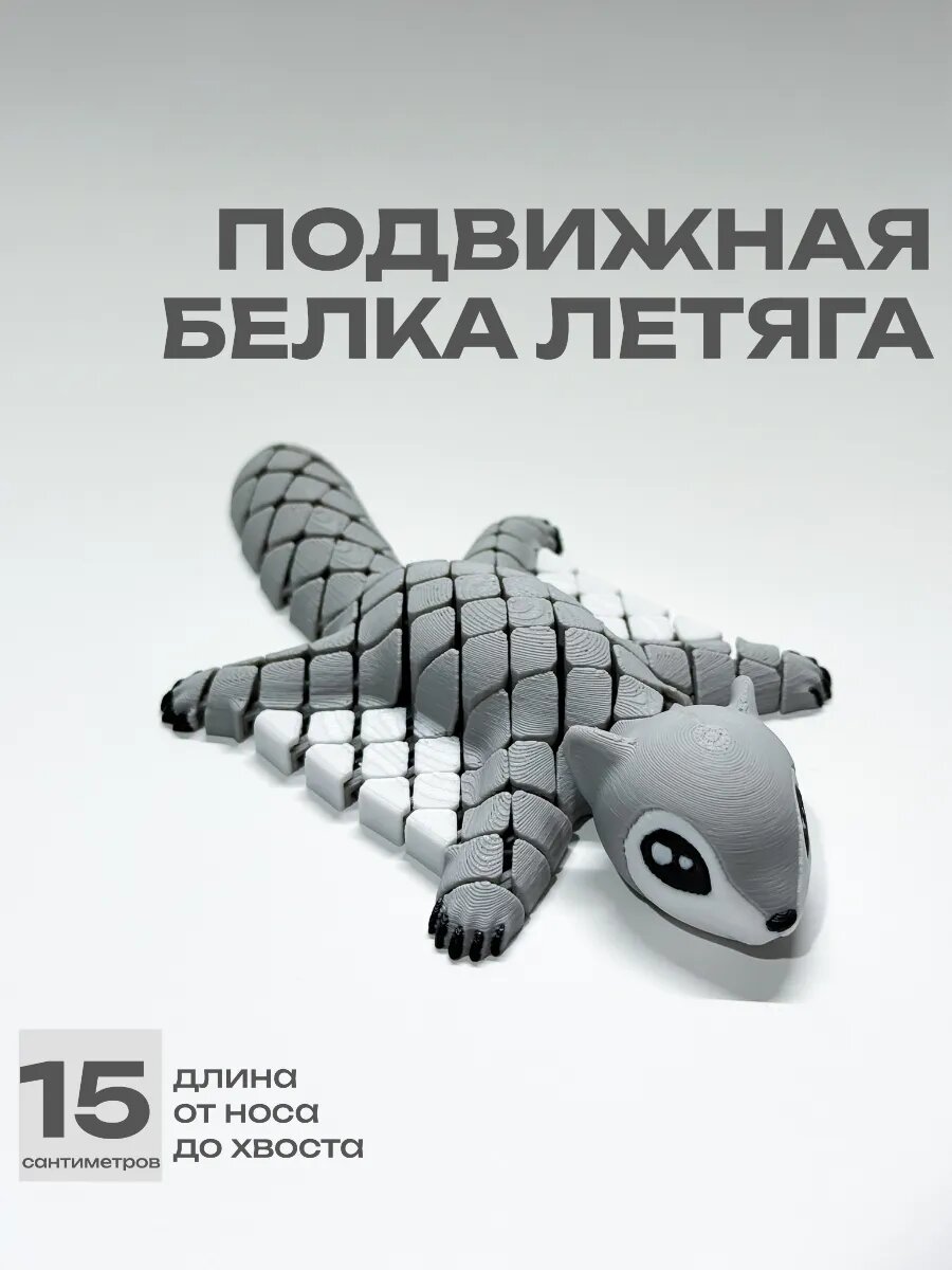 Подвижная белка летяга