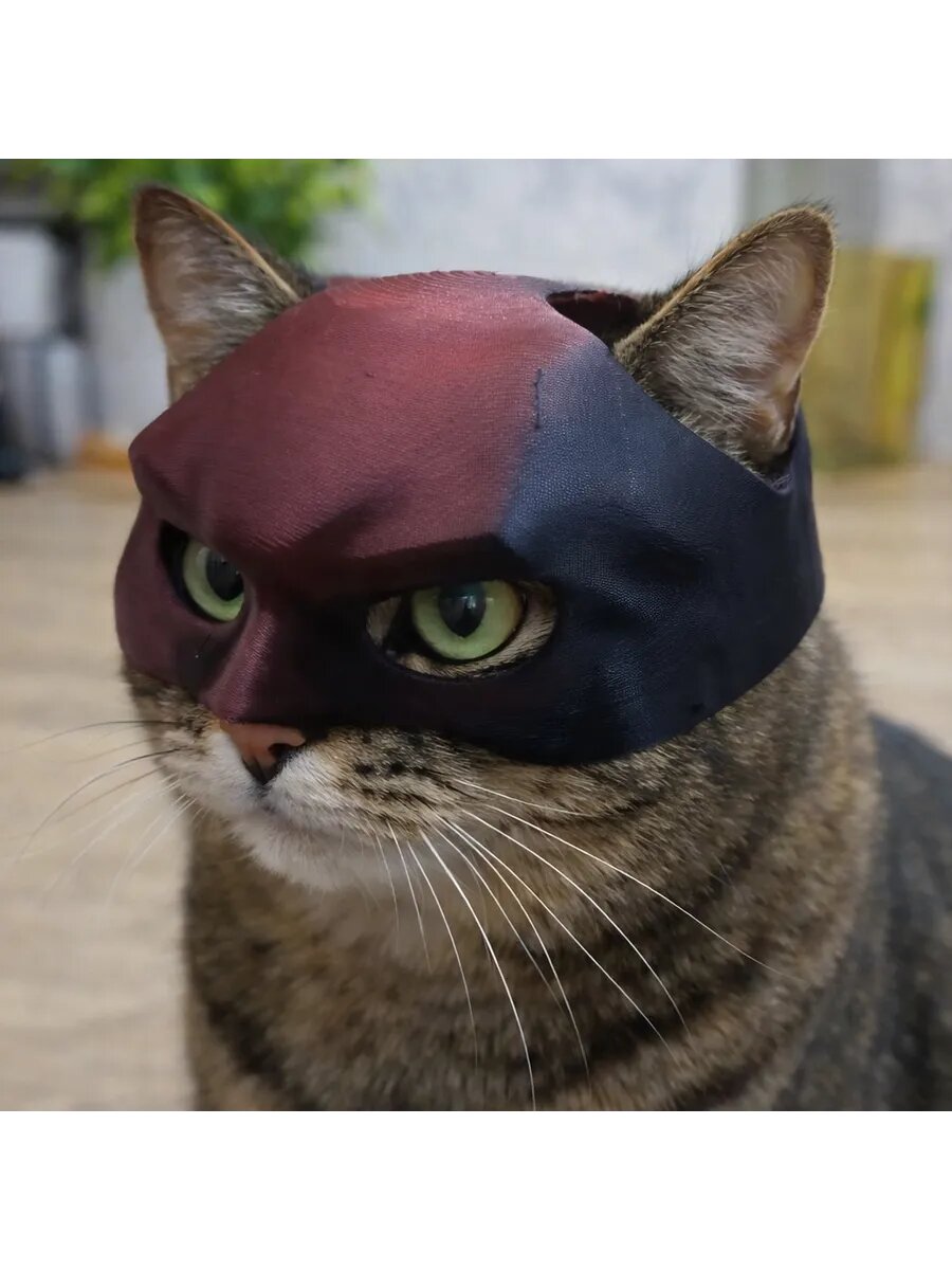 Маска для кота