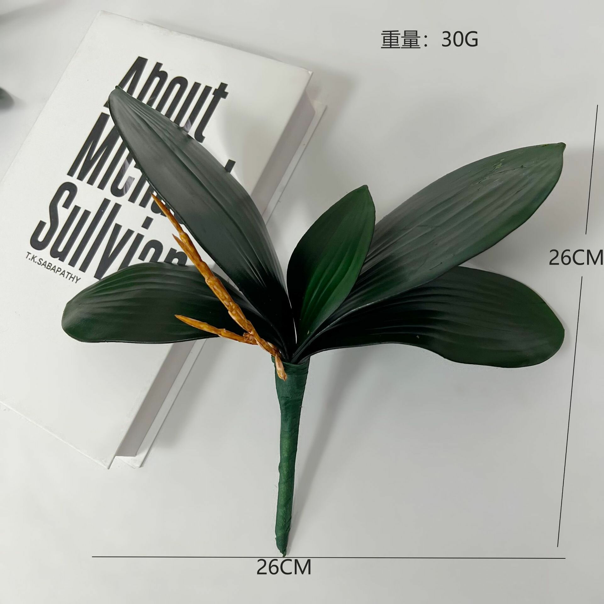 1 кусочек листа орхидеи