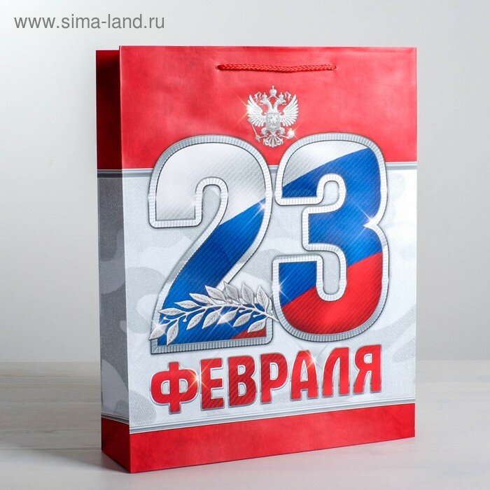 Пакет подарочный ламинированный вертикальный, упаковка, «23 февраля!», MS 18 х 23 х 10 см, 2557303 2 упаковки