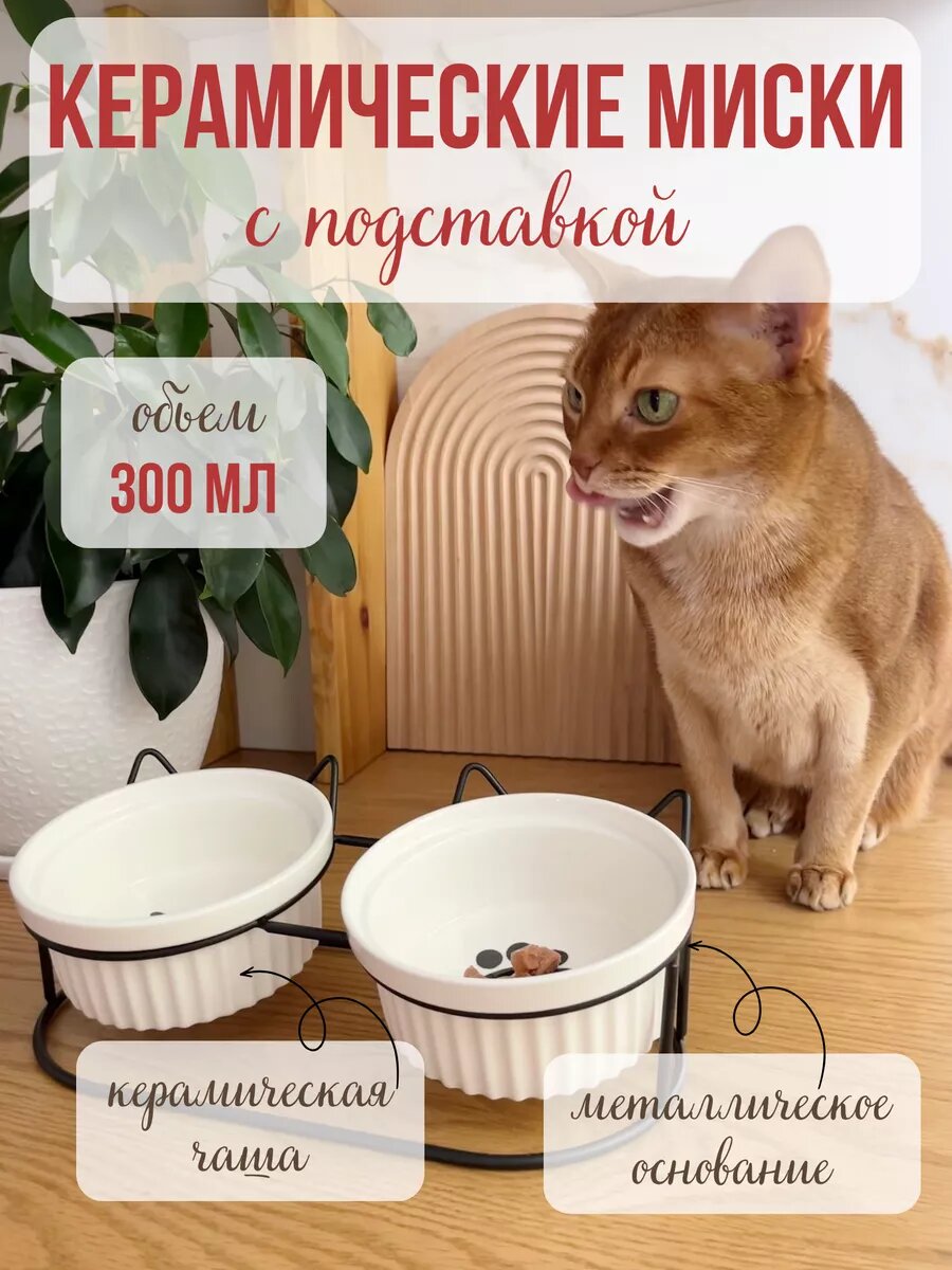 Миска для животных керамическая Qalla, с подставкой двойная, для кошек и собак