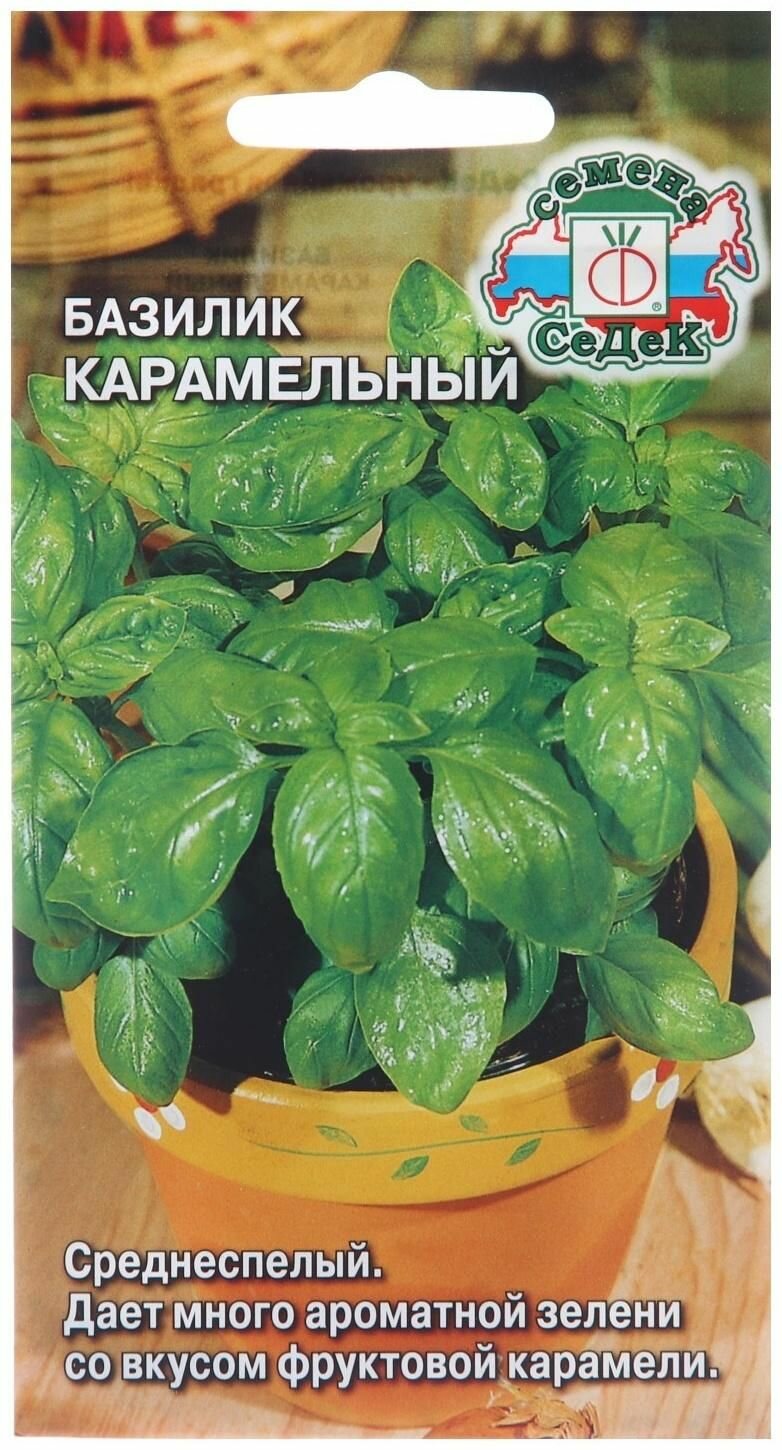 Семена Базилик Карамельный, 0,2 г