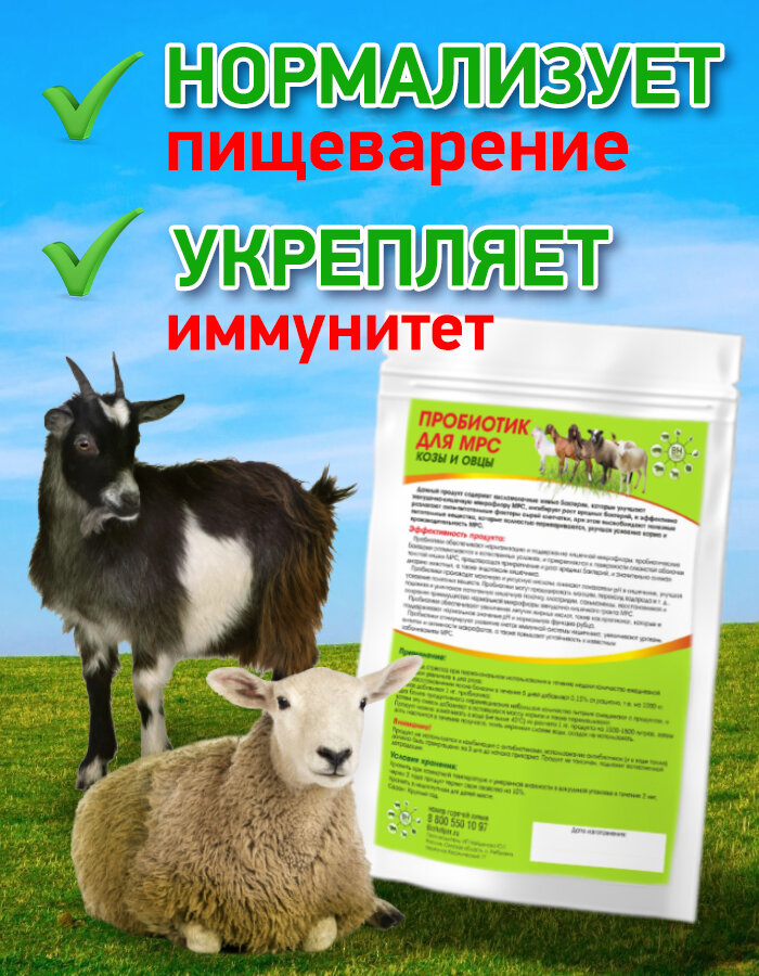 Пробиотик для МРС