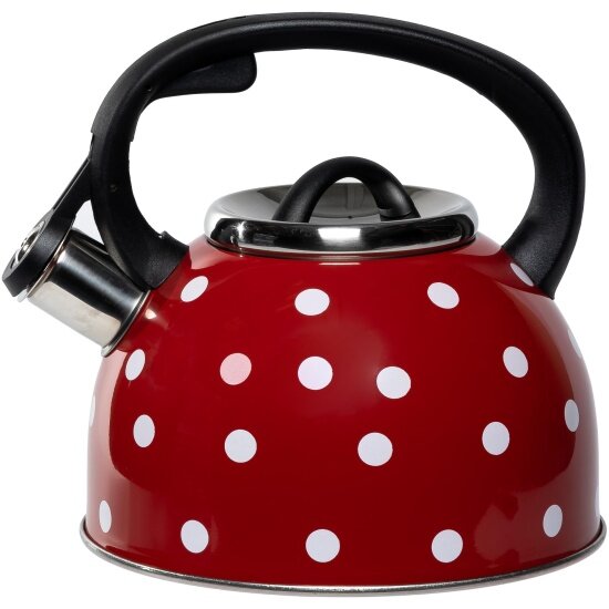 Чайник Olaff 2500 мл (126-18016)