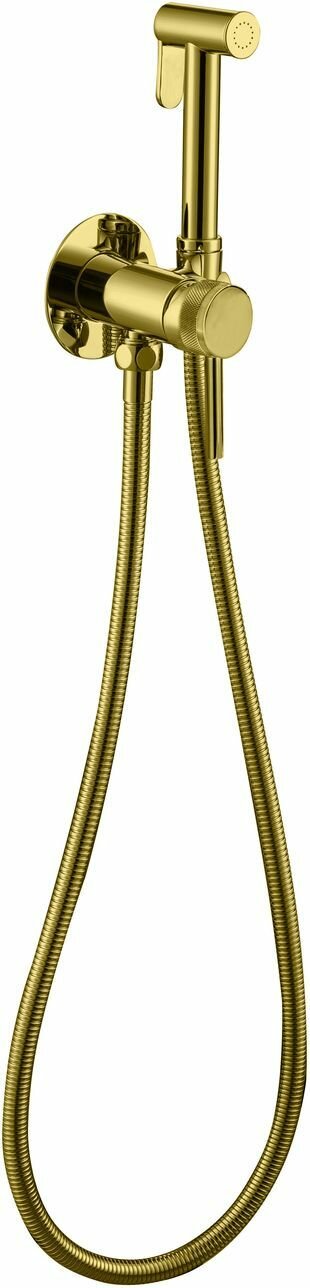 Смеситель Allen Brau Priority 5.31A29-GB (с внутренней частью) золото