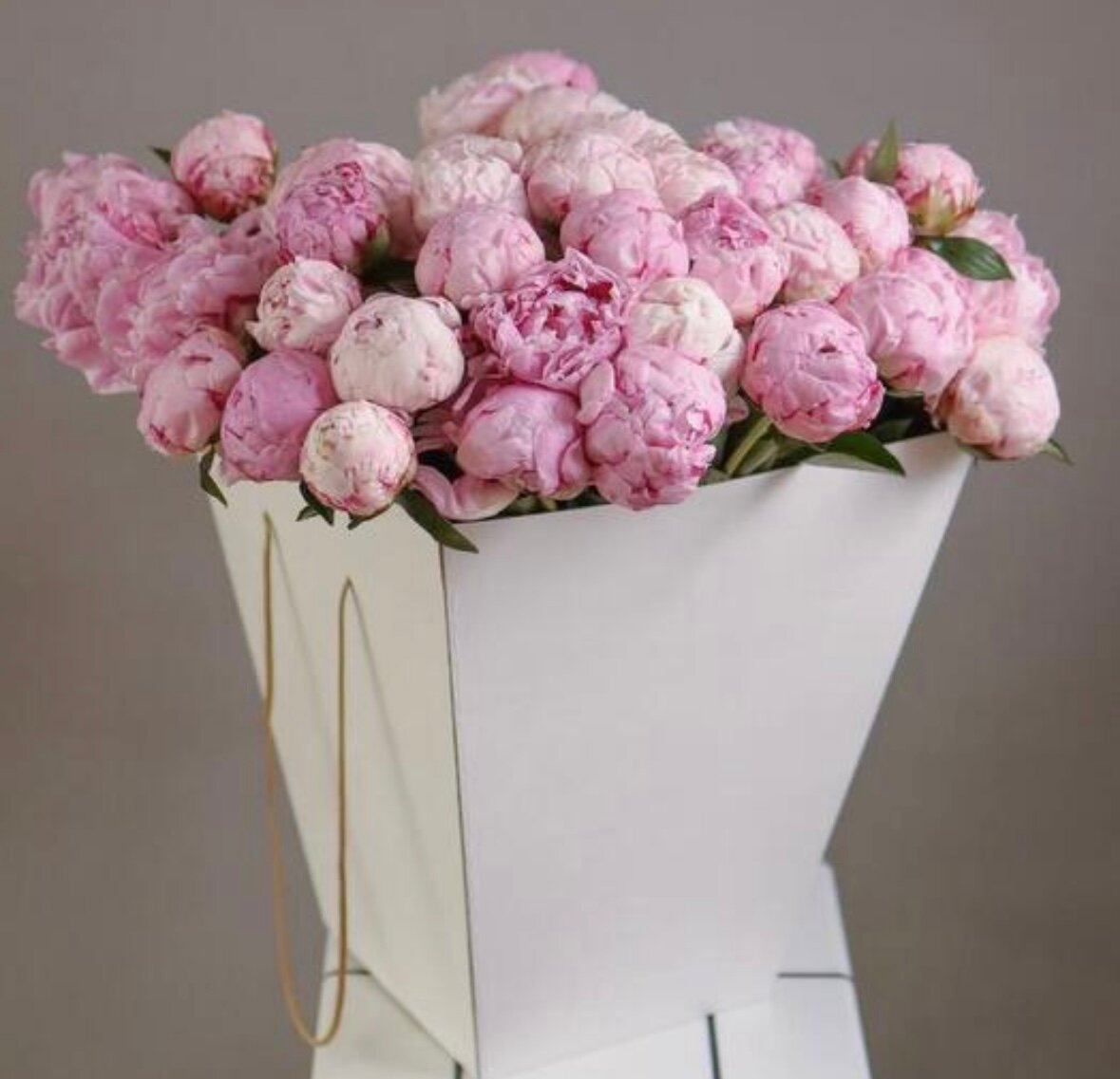 Wow эффект Пионы Сара Бернар в коробке (51)