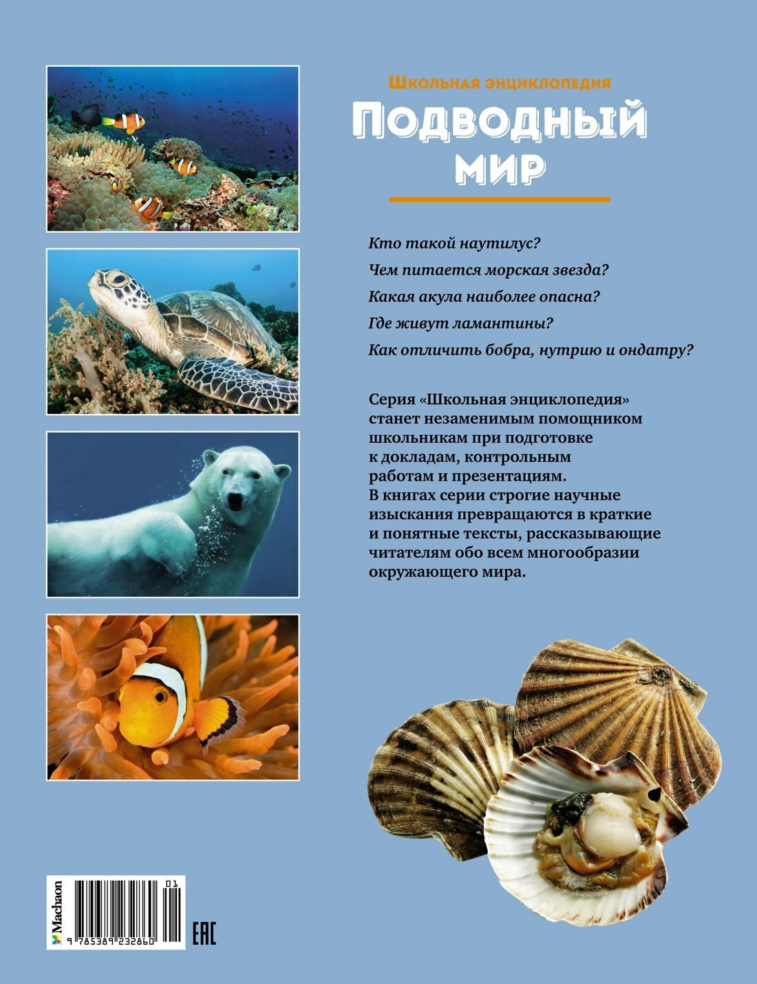 Подводный мир ()