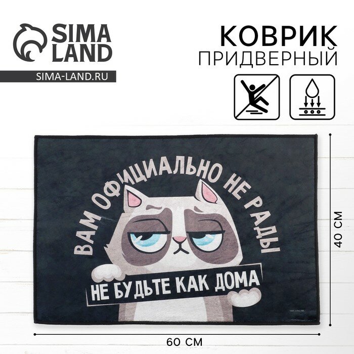 Коврик придверный «Кот», 40×60 см