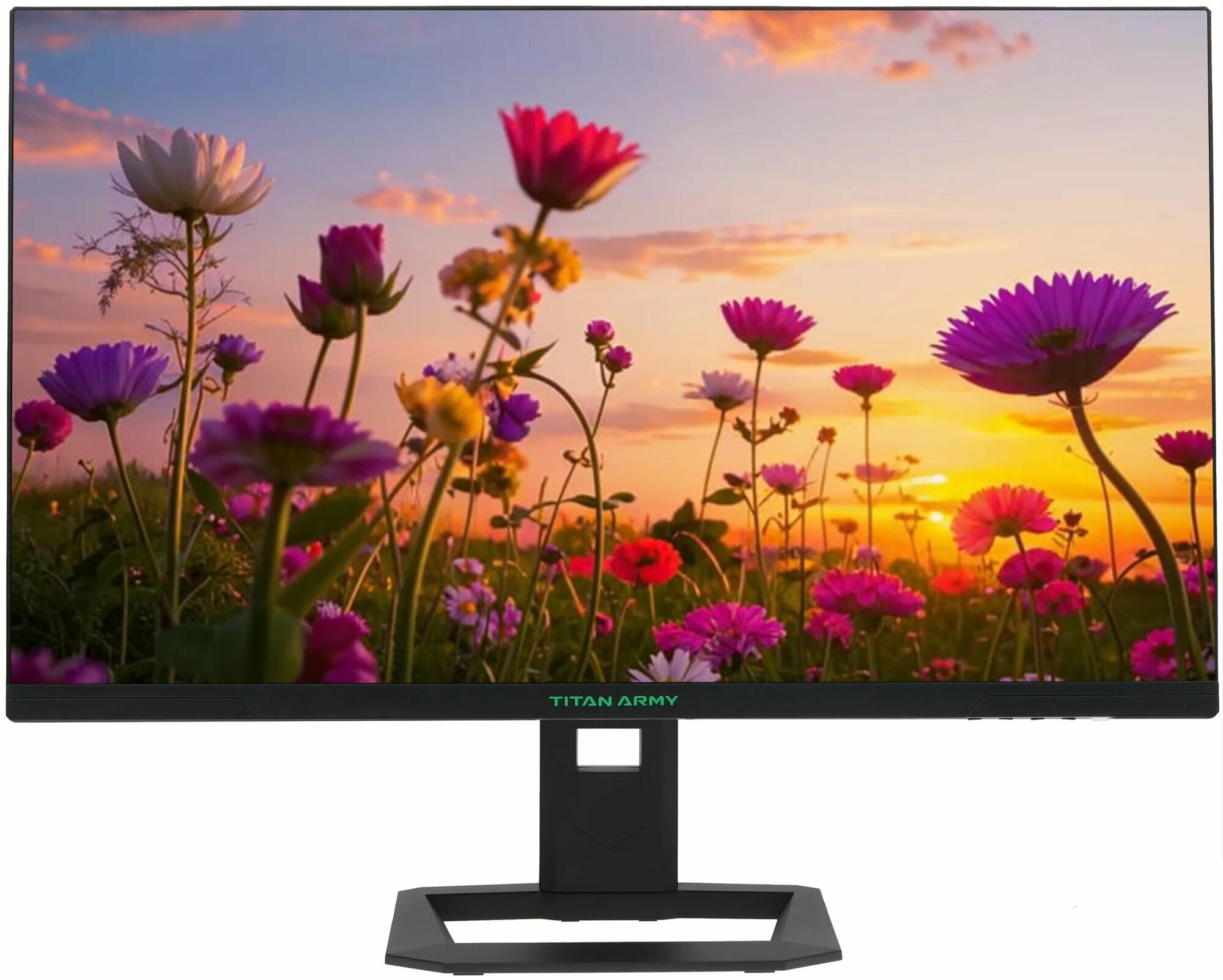 27" Монитор Titan Army P275MV, черный (3840x2160, 160 Гц, IPS, miniLED)