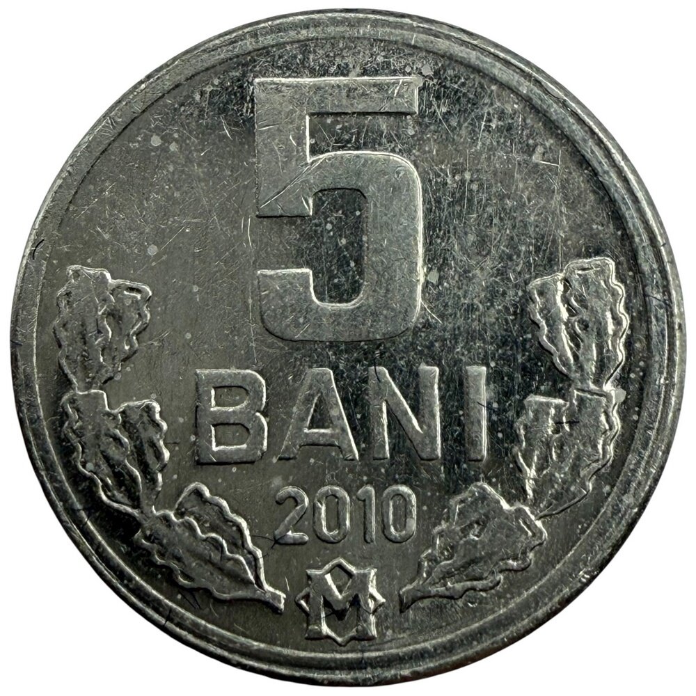 Молдова (Молдавия) 5 бани (баней) 2010 г.