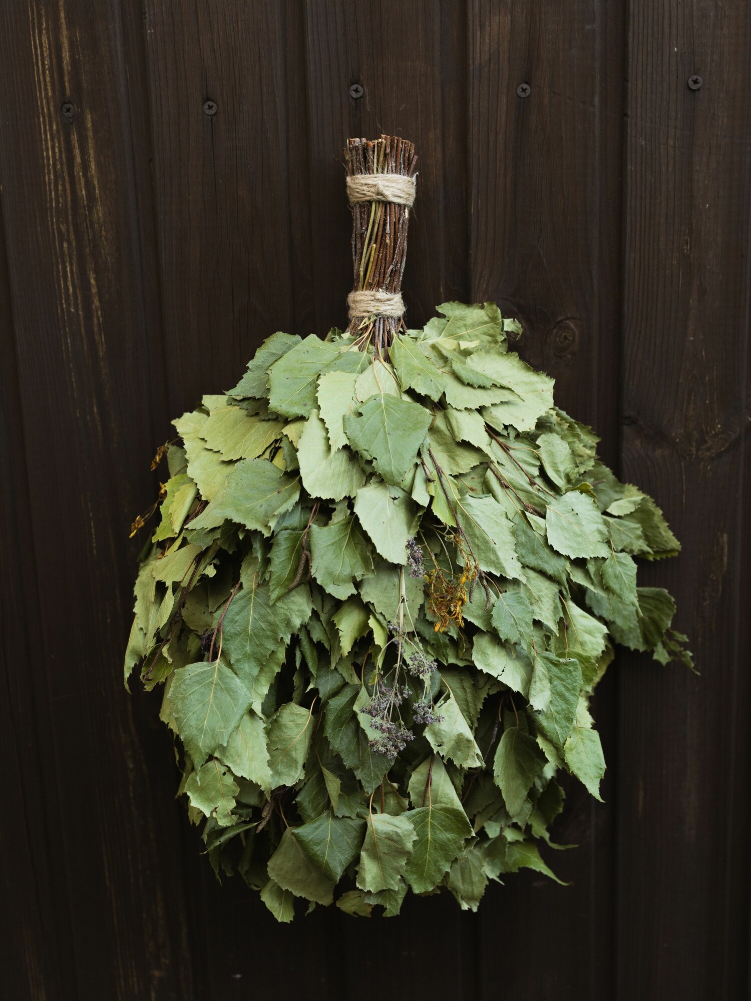 Веник премиум-класса березовый с алтайскими луговыми травами, 48 см, ручная работа