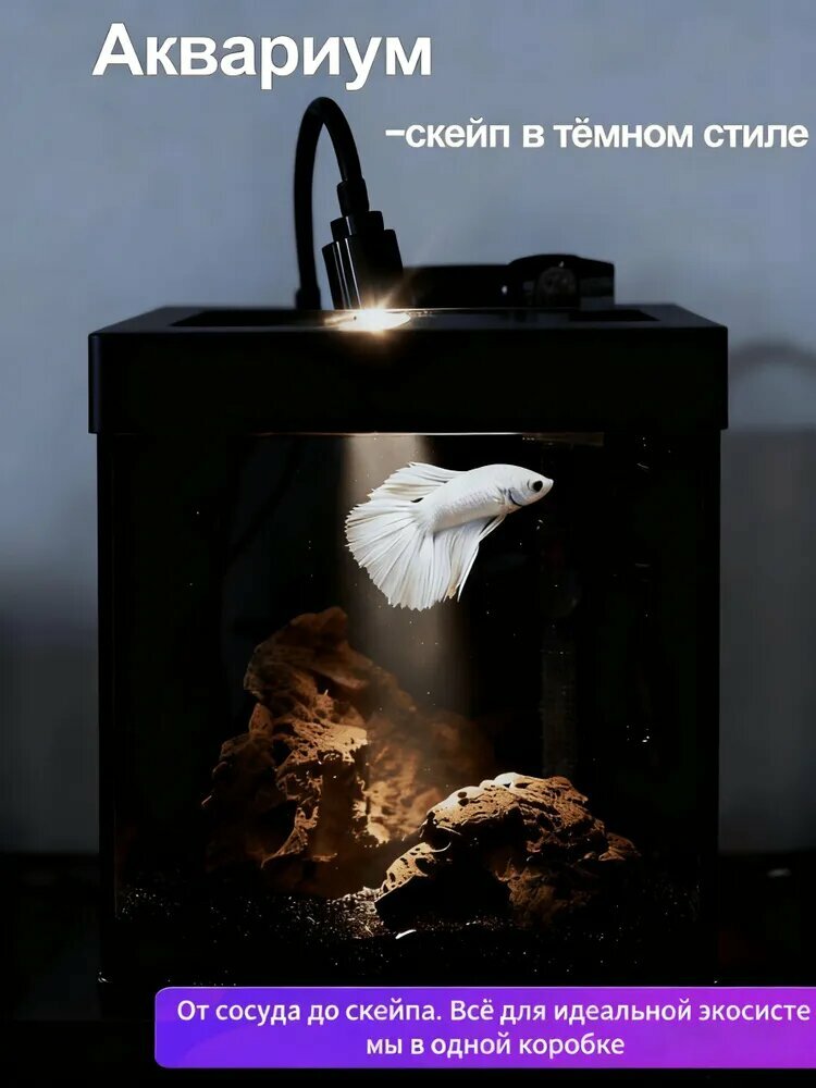 Аквариум 20x20x20 см полный комплект Темный скейп : супер чистый, легкий для новичков