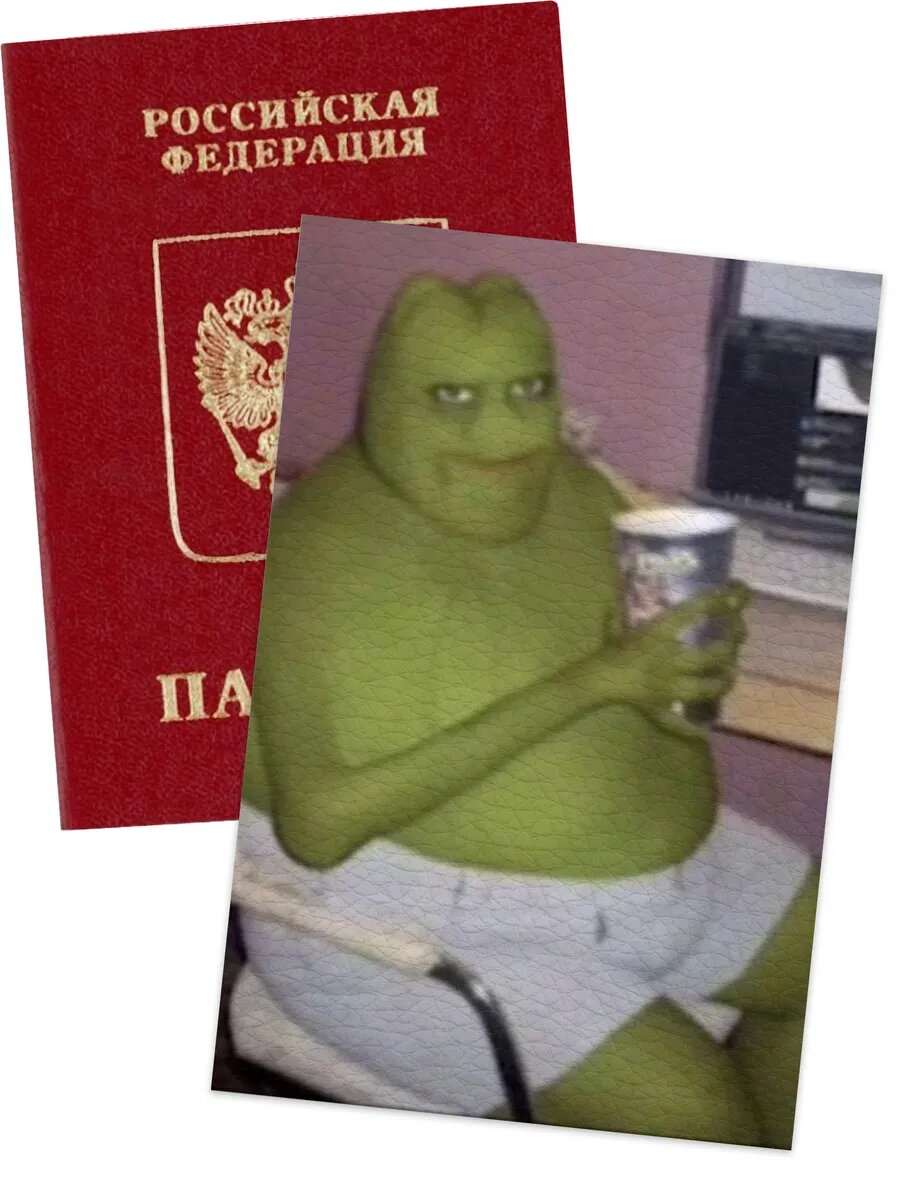 Обложка для паспорта