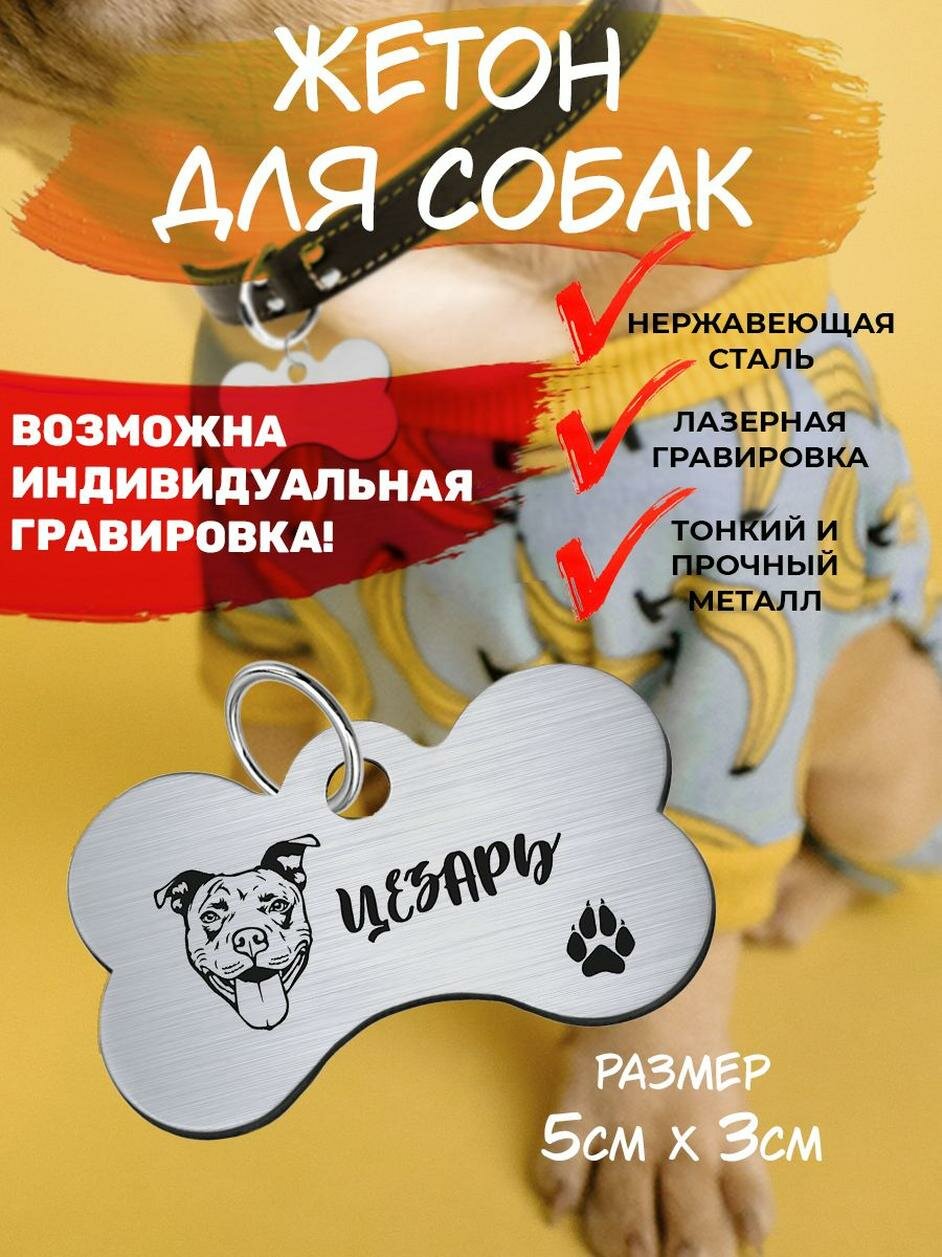Брелок для собак с гравировкой, серебристый, стаффордширский терьер Цезарь