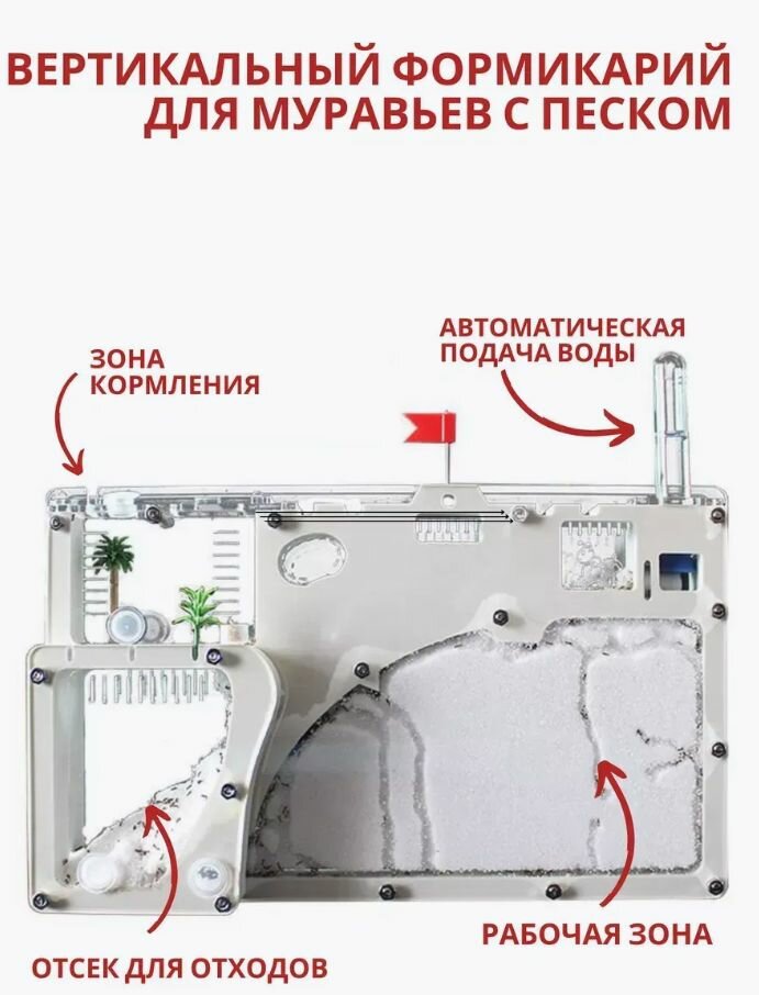 Муравьиная ферма — фото 1