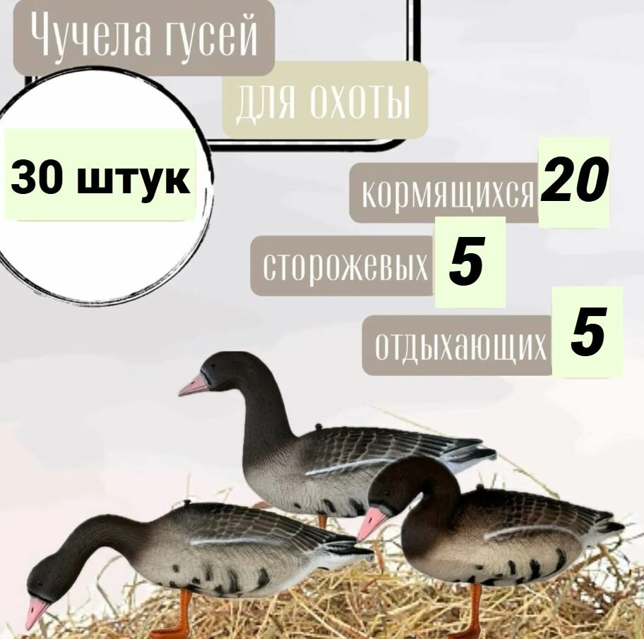 Чучела Гусей Гуменник-Белолобые 30 шт, чучела гусей для охоты, на ножке, сминаемые, XPE, Белолобый Гусь, Гуменник