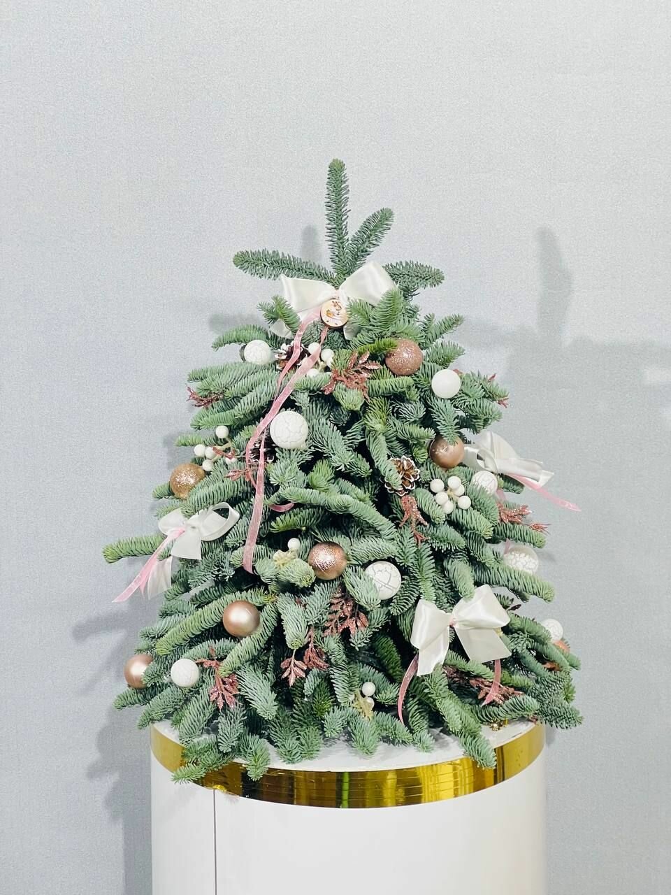 Ёлочка живая нарядная из нобилиса 50см