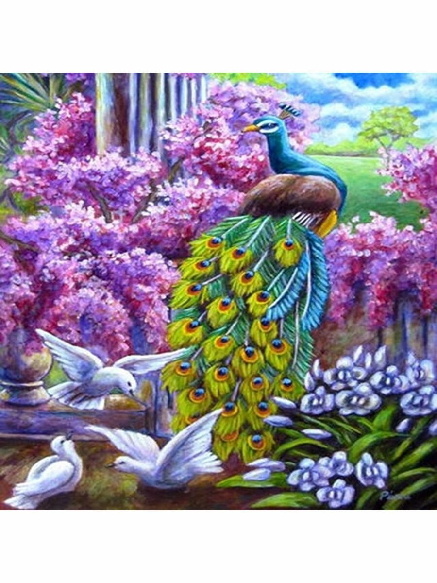 Картина по номерам "Райские птицы", на холсте на подрамнике, 40 x 50 см