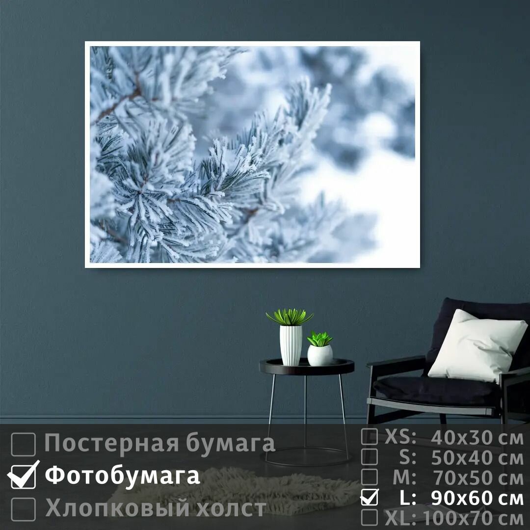 Постер на фотобумаге Ветка Сосны В Зимнем Лесу 90х60 см ПолиЦентр