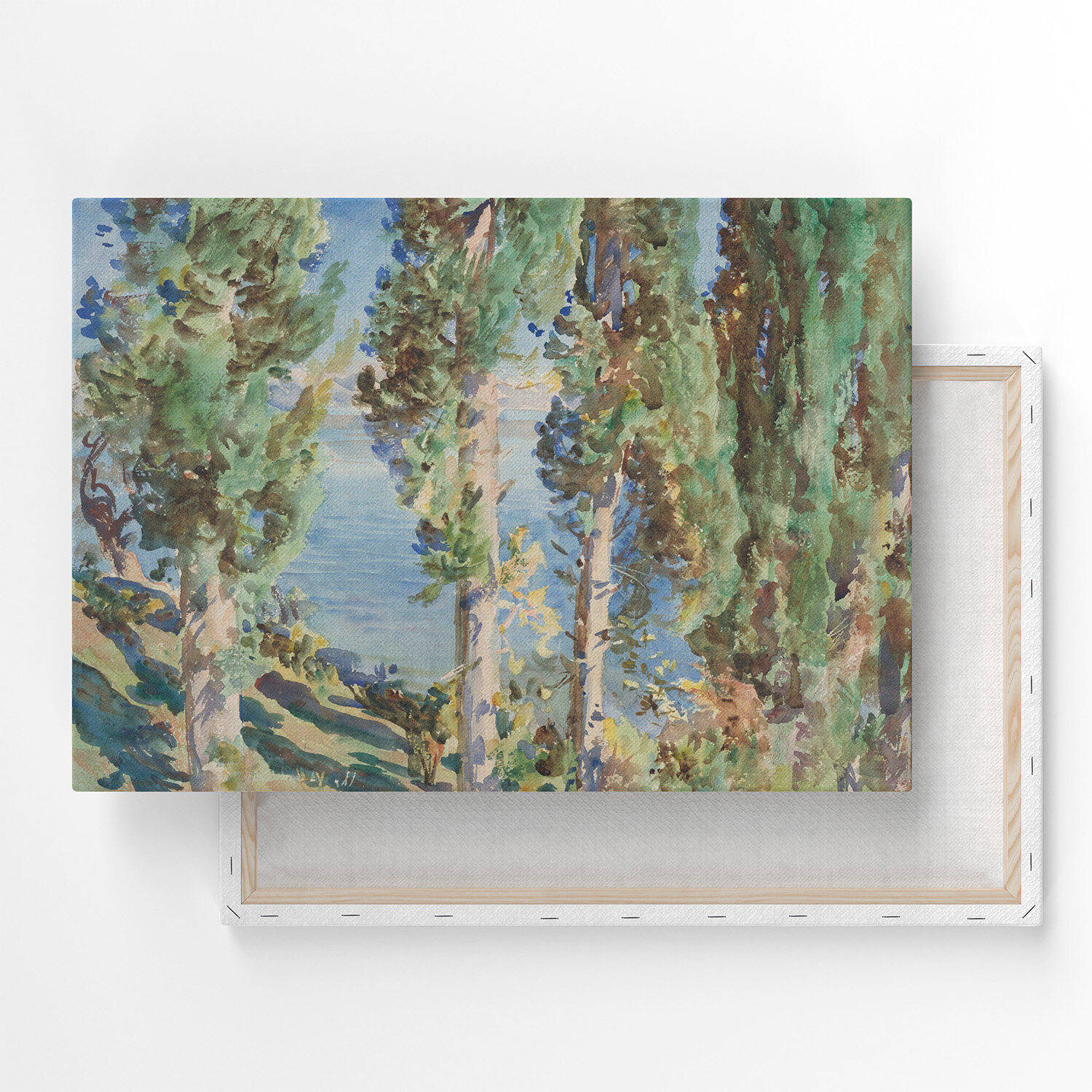 Картина на холсте, репродукция / Джон Сингер Сарджент - Corfu Cypresses / Размер 60 x 80 см