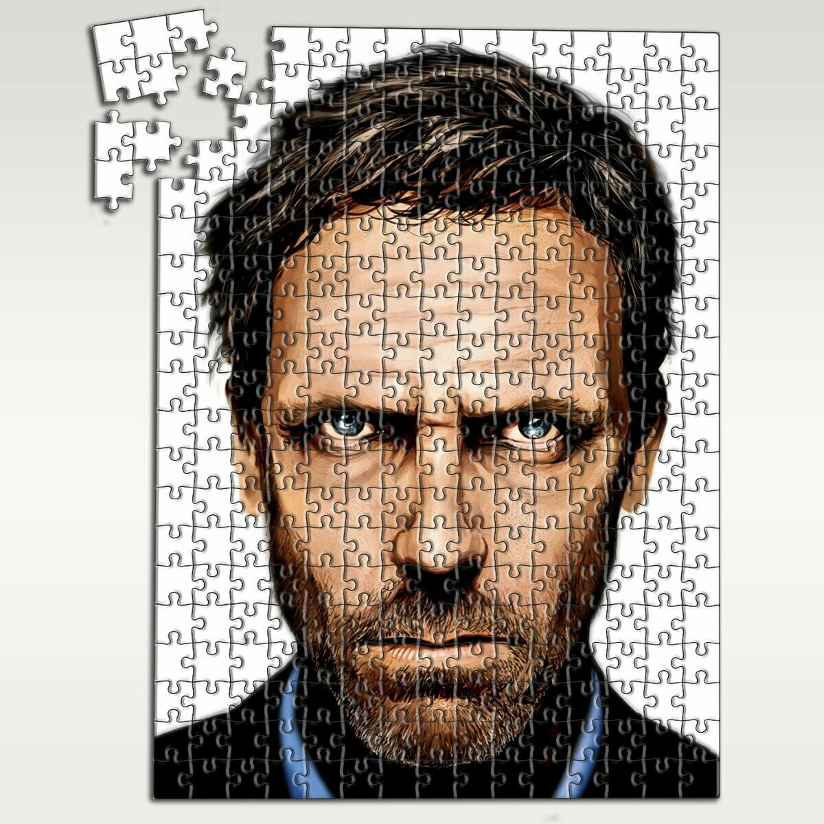 Пазл картонный А3: модель доктор хаус - 3 П