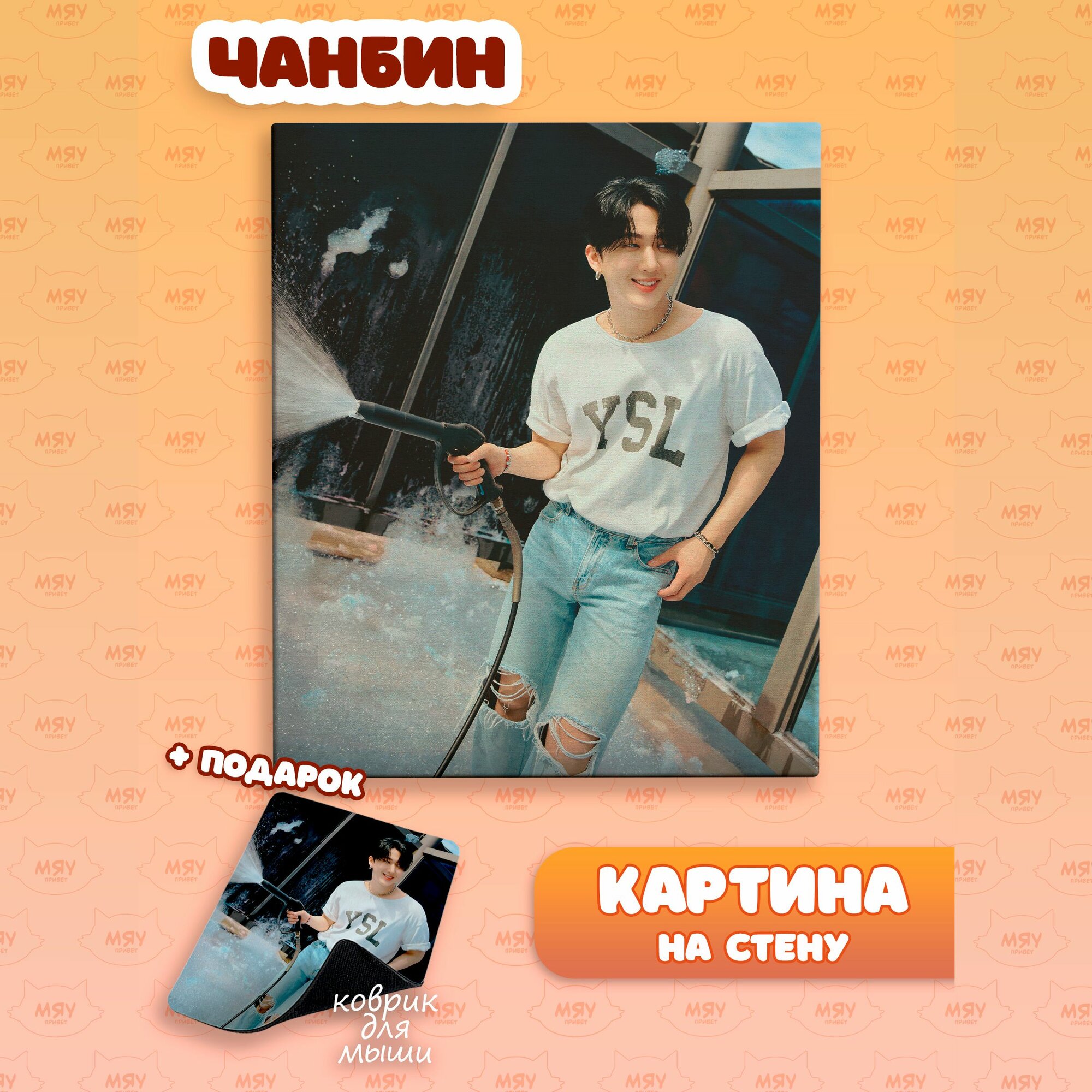 Картина на стену Стрей Кидс Чанбин