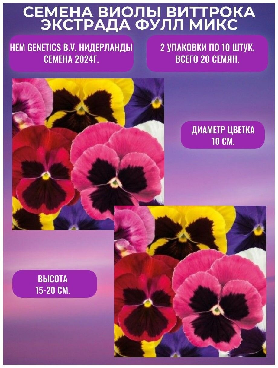 Виола Виттрока Экстрада Фулл Микс 2 упаковки по 10 штук, HEM GENETICS B.V, Нидерланды