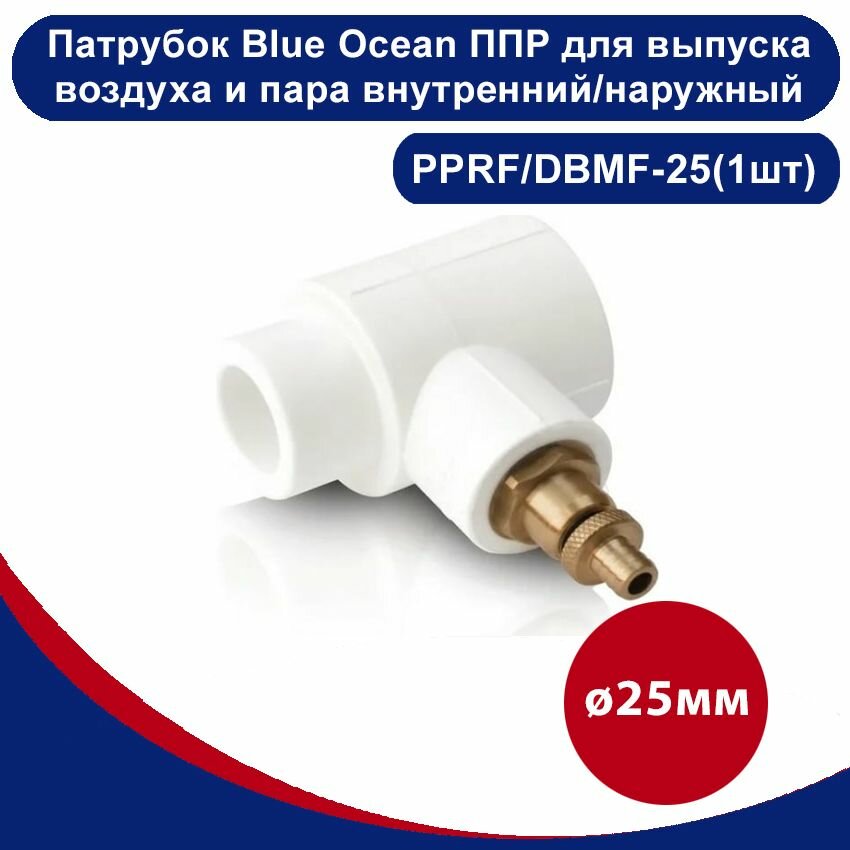 Патрубок Blue Ocean полипропиленовый для выпуска воздуха и пара внутренний/наружный - 25мм(1шт)