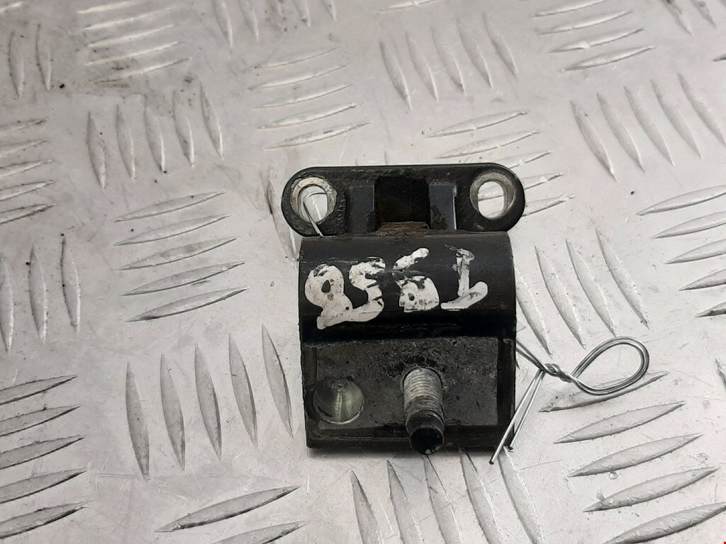 Петля крышки (двери) багажника Volkswagen Passat 5 3B9827301D арт. 818220