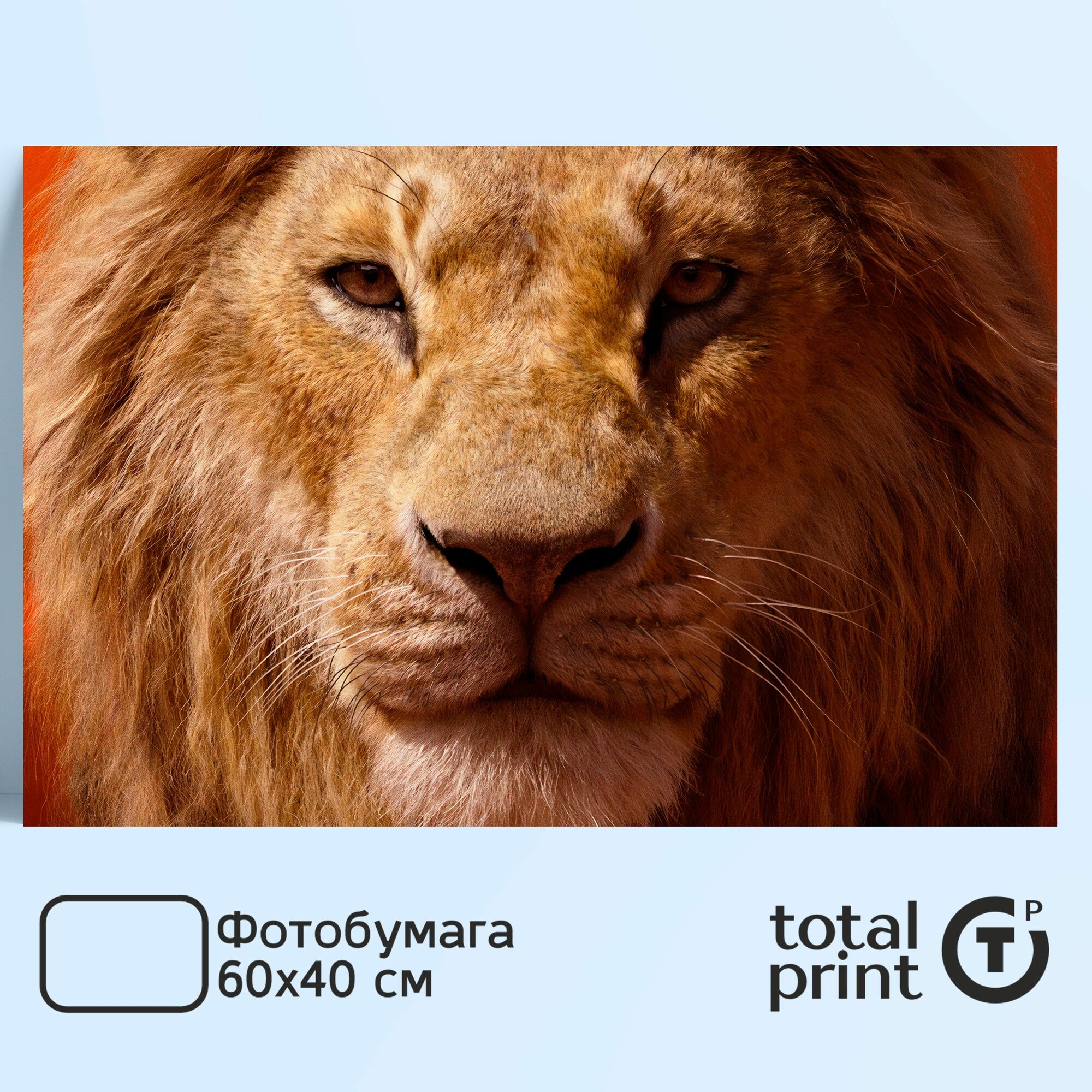TotalPrint Постер для интерьера, Король Лев, 60х40см.