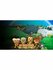 PixelJunk Monsters 2 PS4 & PS5